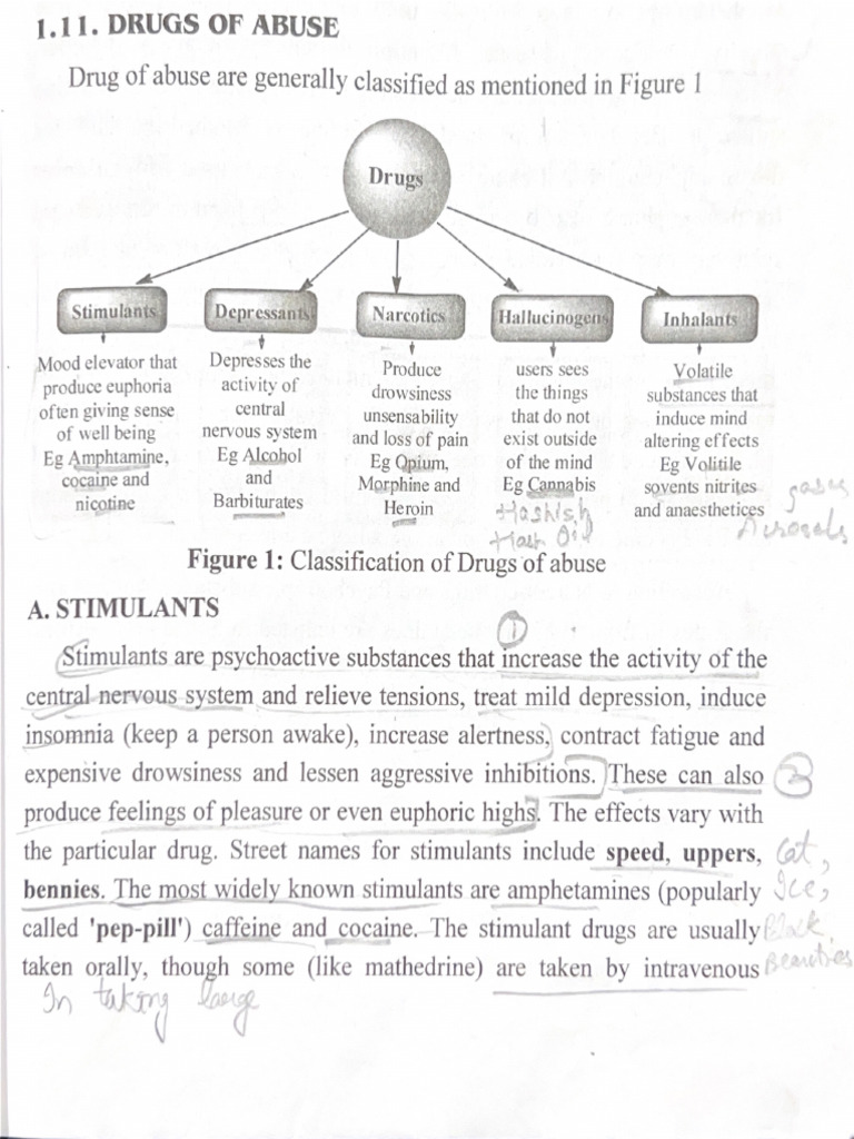 Drug Abuse Assignment | PDF