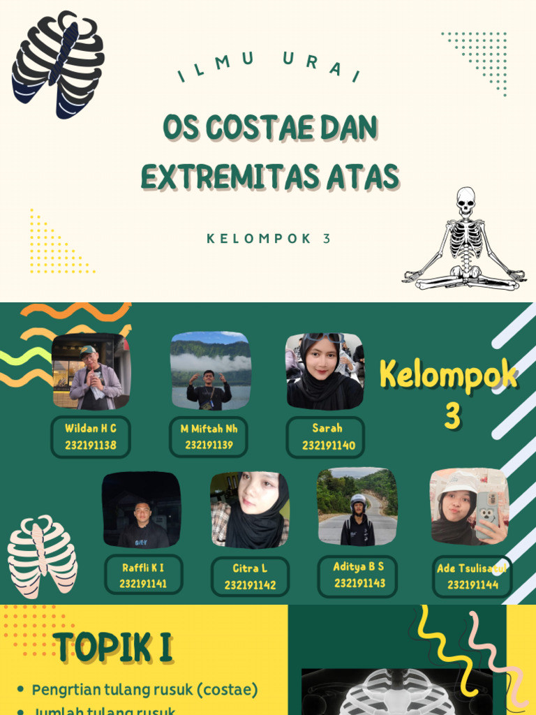 Os Costae Dan Extremitas Atas | PDF