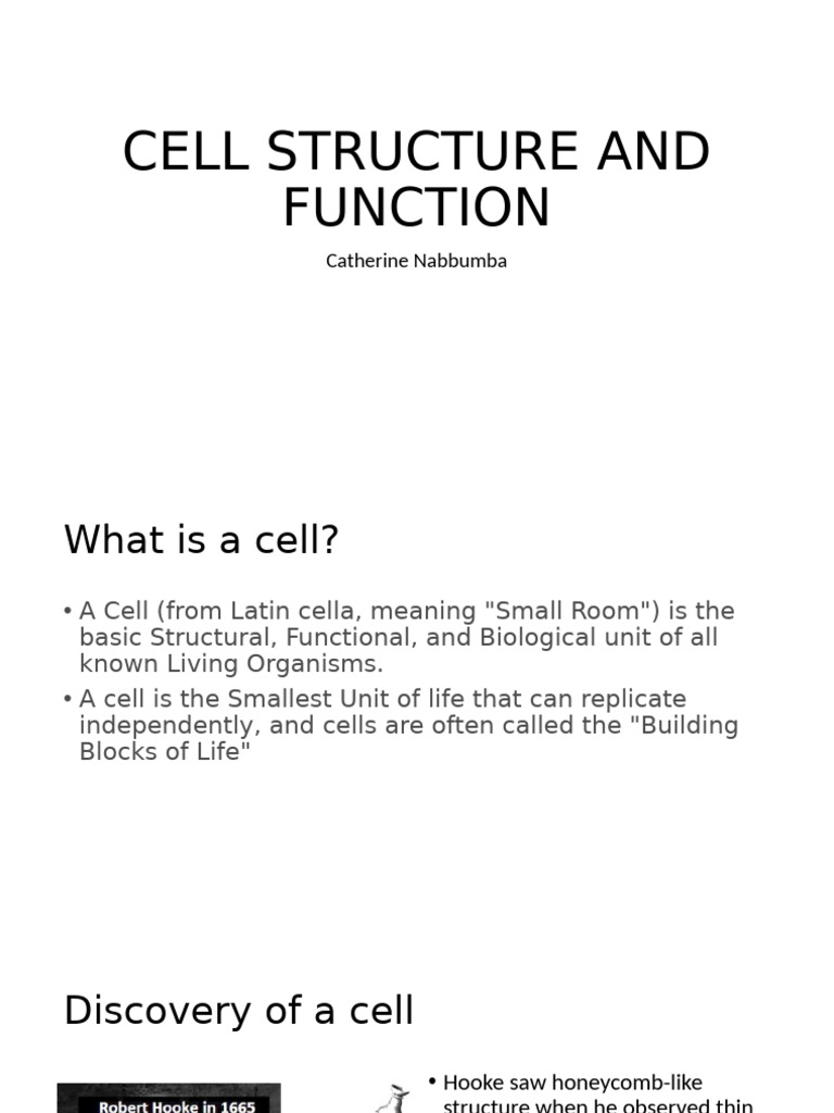 Cell Structure and Function | PDF | Endoplasmic Reticulum | Ribosome