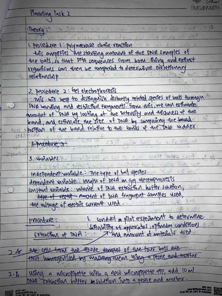Planning Task 2 | PDF