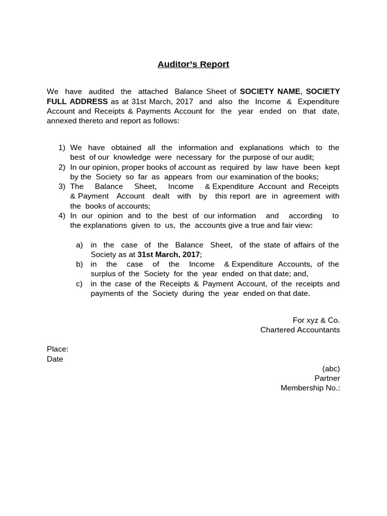 NGO Audit Report 31.03.2017 | PDF