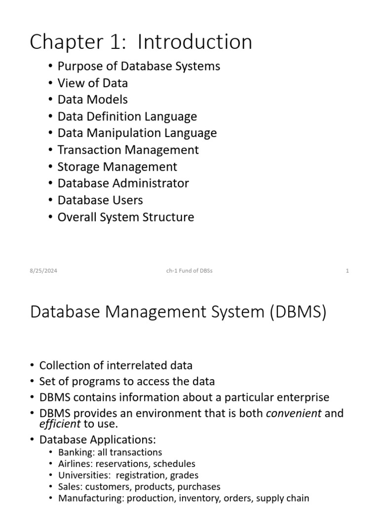 2016 Database Systems CH 1 | PDF