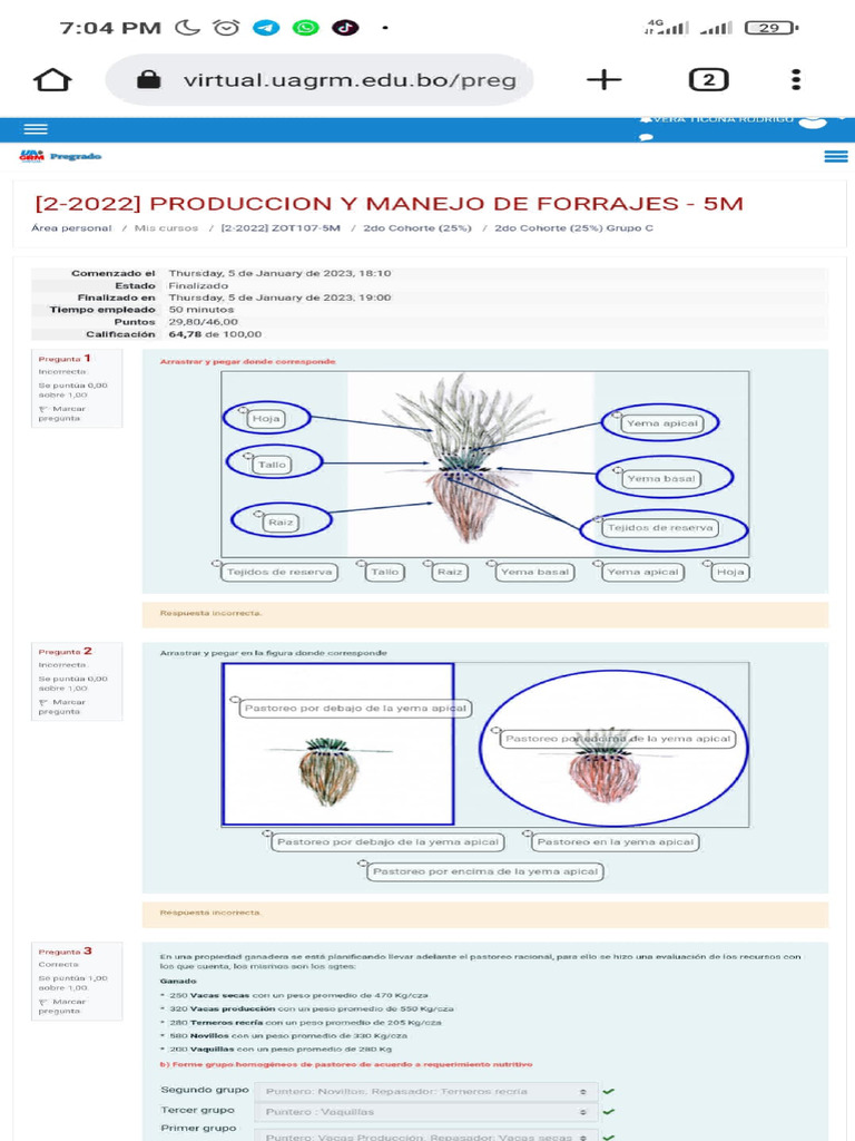 124206016-2do Parcial de Forraje | PDF