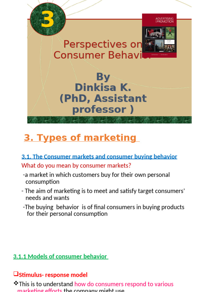 Chapter 3 Consumer Behaviour | PDF