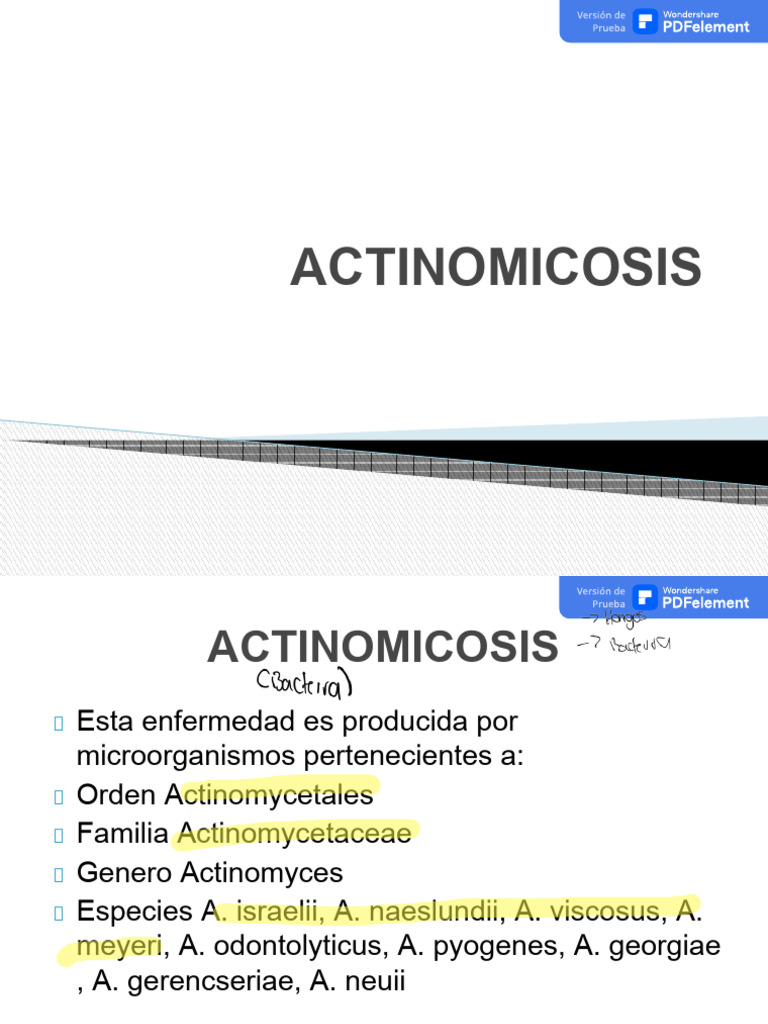 ACTINOMYCES | PDF