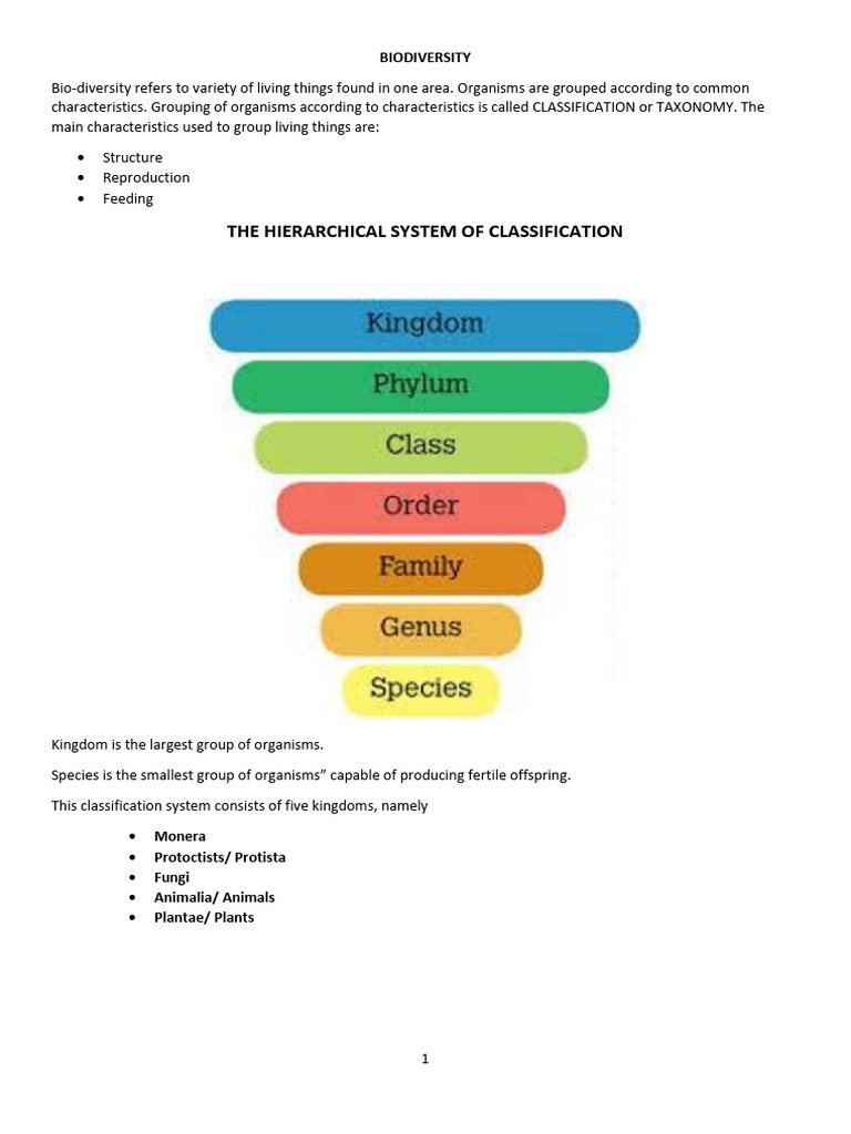 Diversity of Living Things | PDF