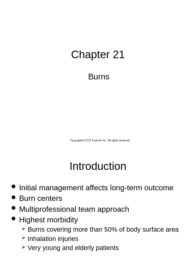 Burns PP | PDF