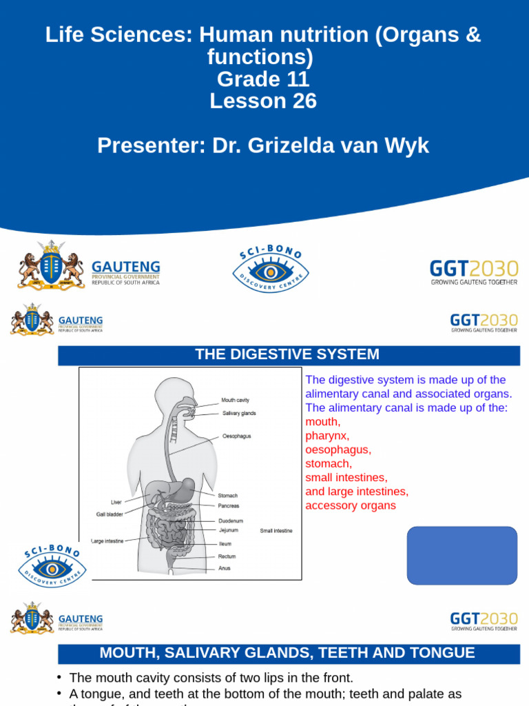 Life Sciences Gr.11 Lesson 26 Human Nutrition (Organs and Functions ...