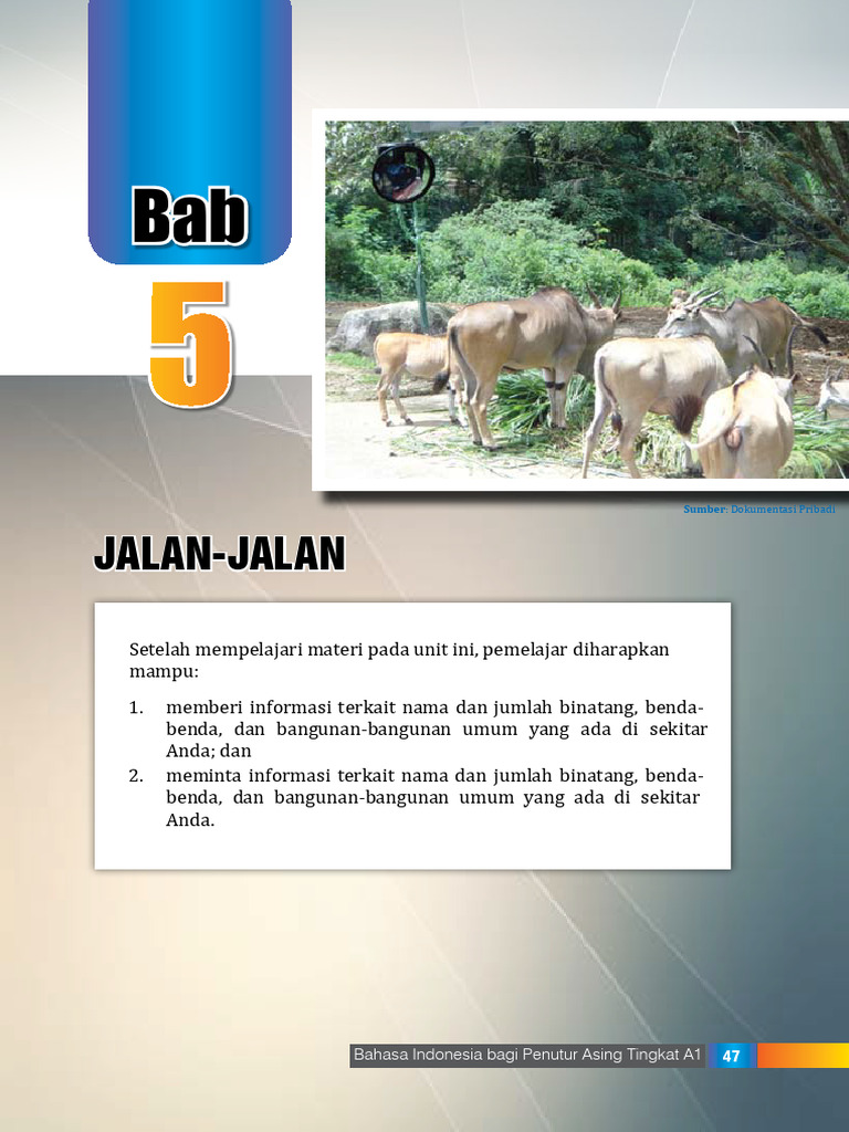 Bipa A1 PPSDK - Bab 5 - Jalan-Jalan | PDF