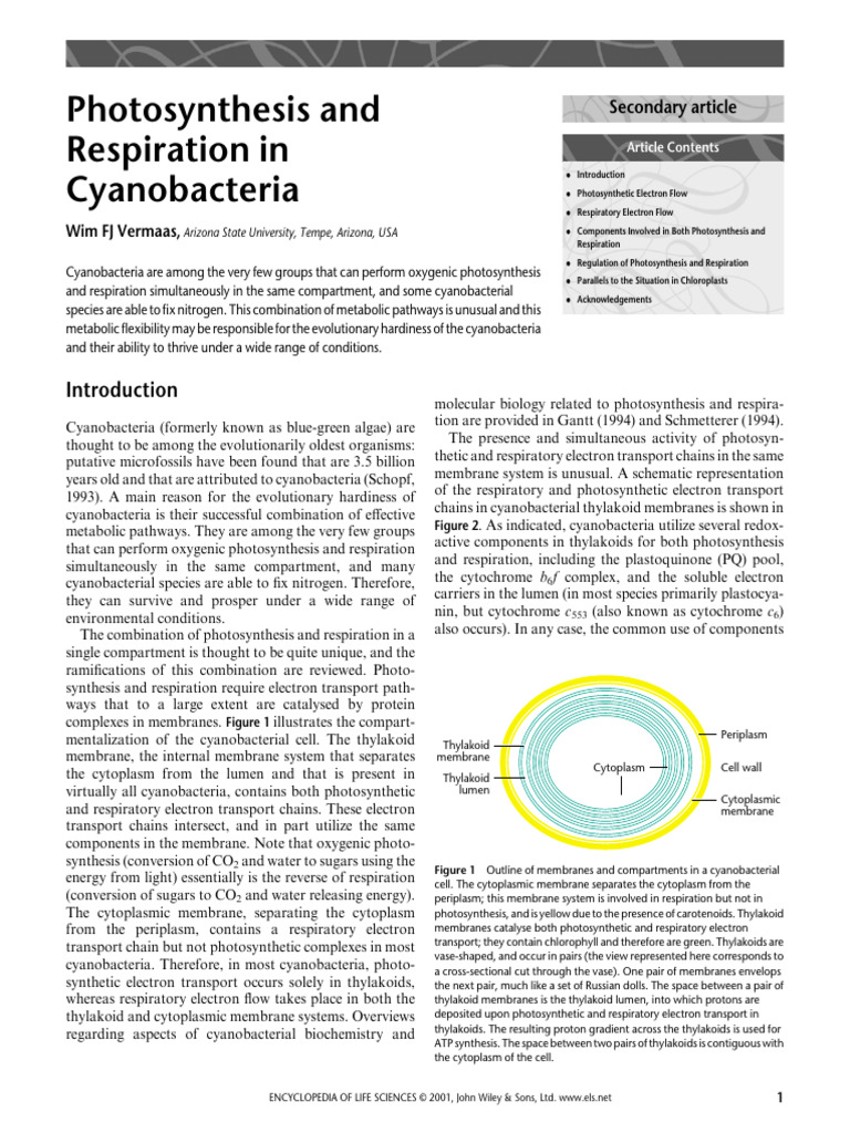 Vermaas 2001, Photosynthesis and Respiration | PDF