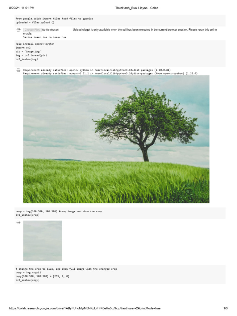 ThucHanh - Buoi1.ipynb - Colab | PDF