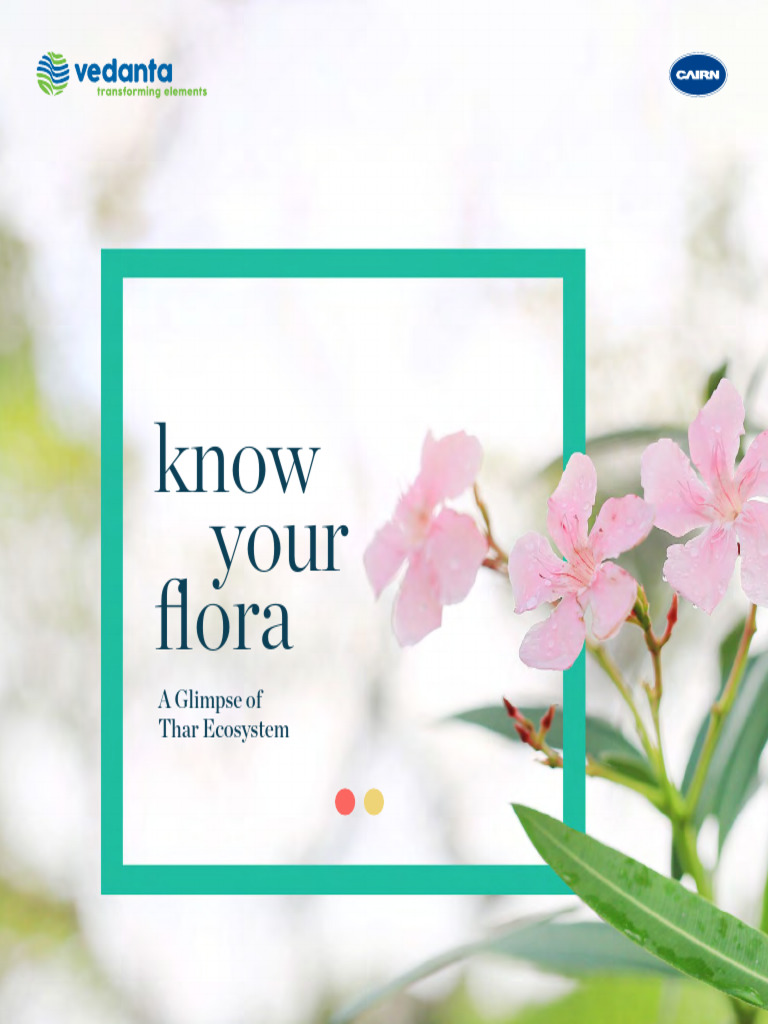 PPT1 Final New | PDF