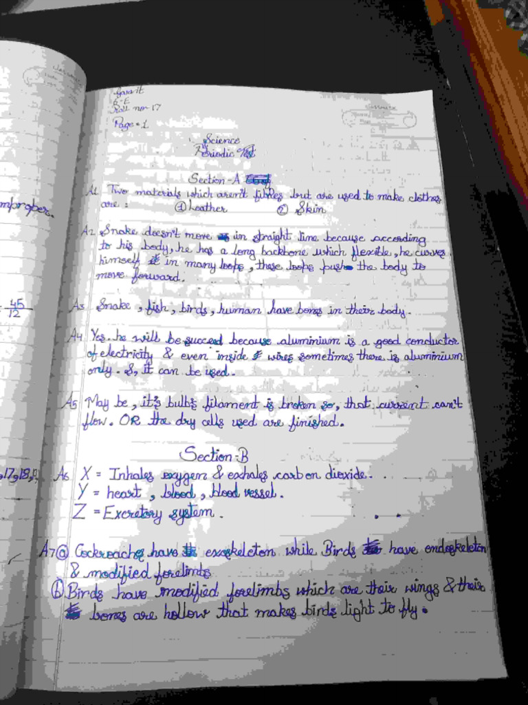 Pt2. Science. Garvit Nagpal. 6-E | PDF