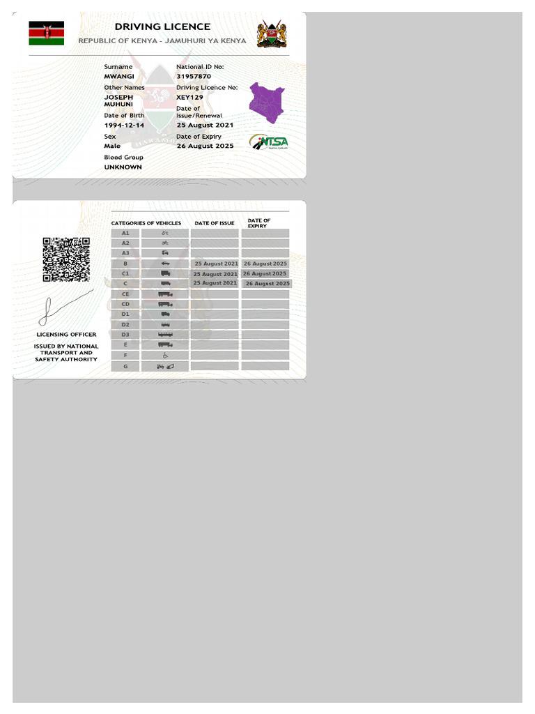 DLR-AKVUZ22MZ-Electronic Driving License | PDF