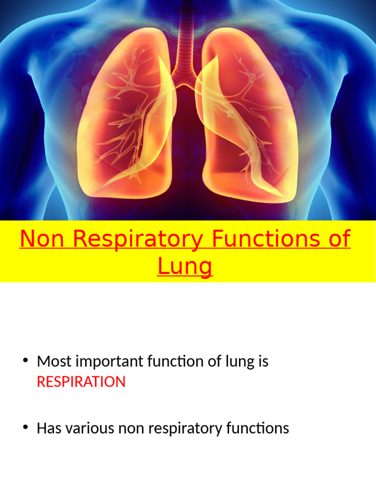 non respiratory functions of lung [Autosaved] | PDF