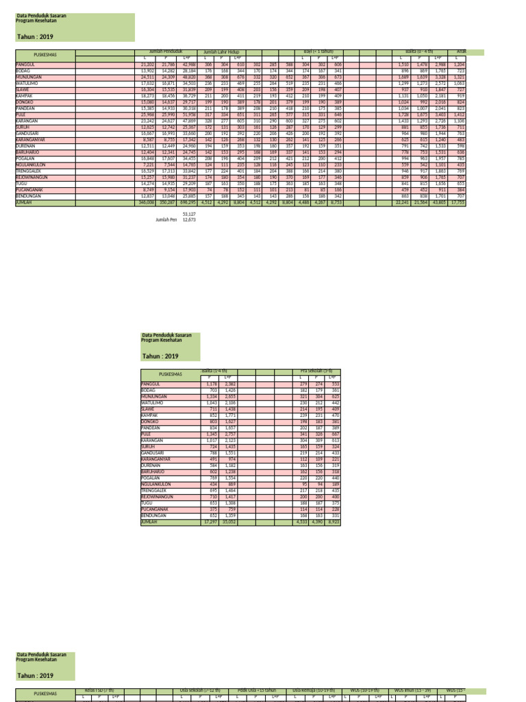 Data Sasaran Penduduk Program Kesehatan Tahun 2019 | PDF