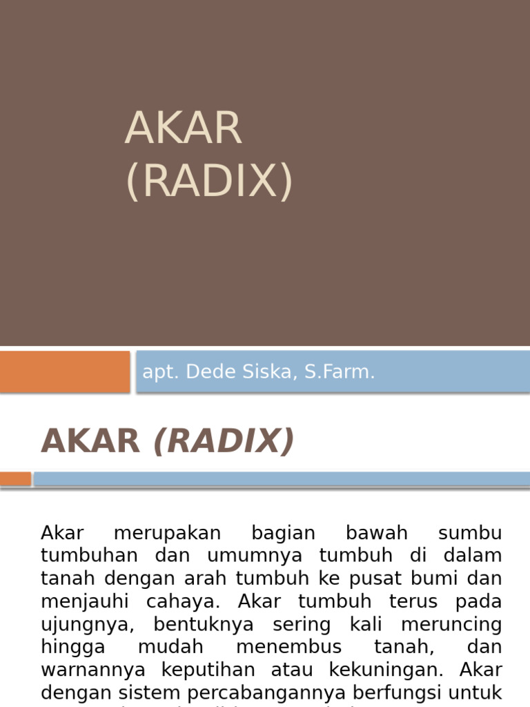 Akar (Radix) | PDF