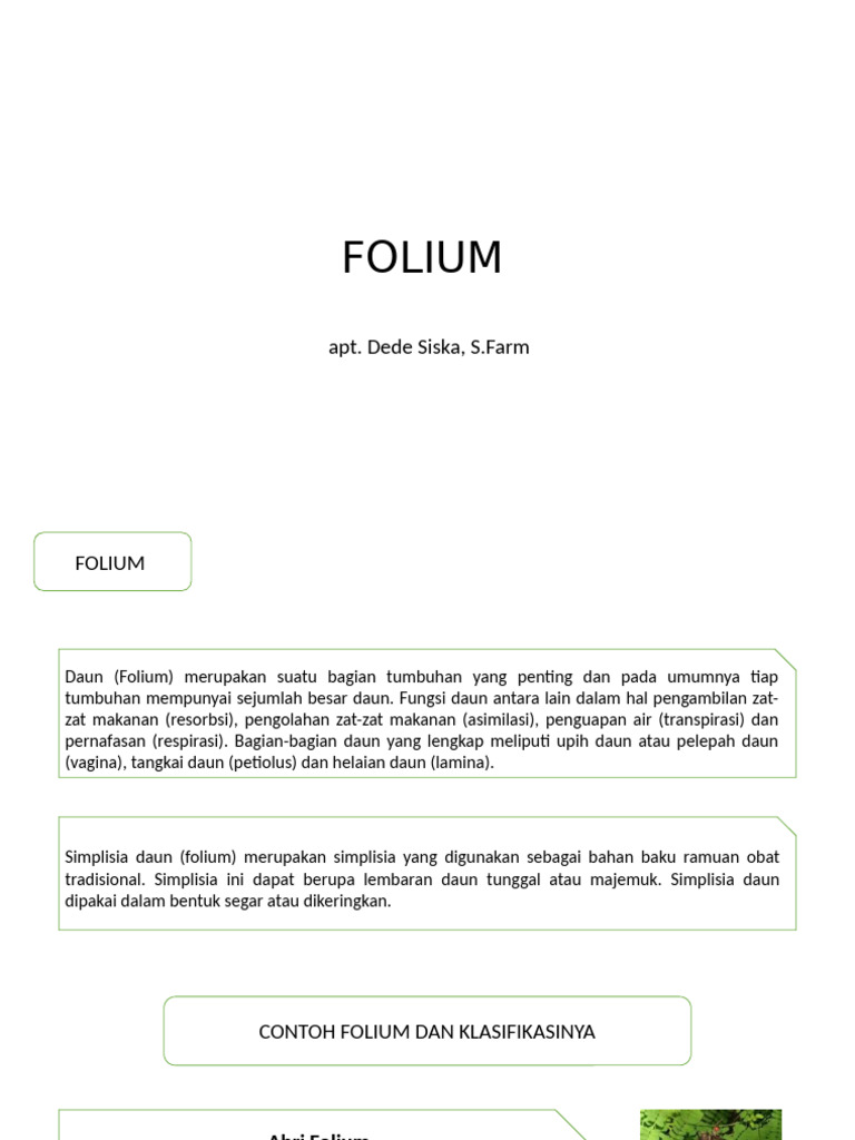 Folium | PDF