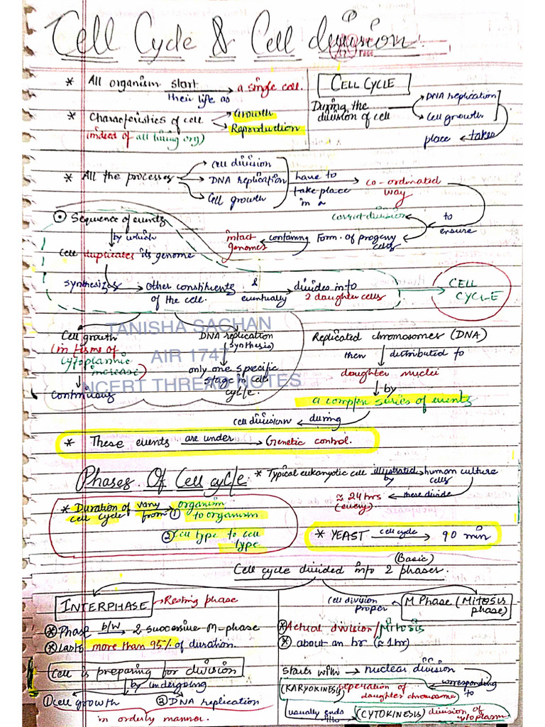 Cell Cycle and Cell Division NCERT THREAD NOTES | PDF
