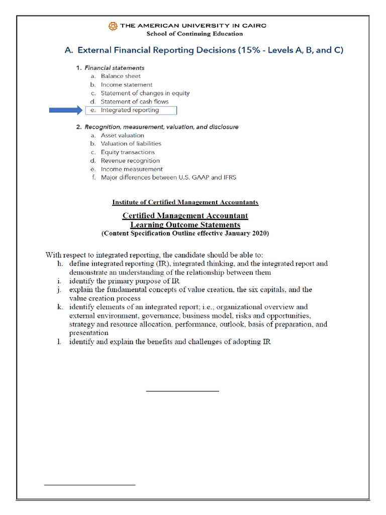 Section A 2020 Integrated Reporting Sameh Ellithy 1 | PDF