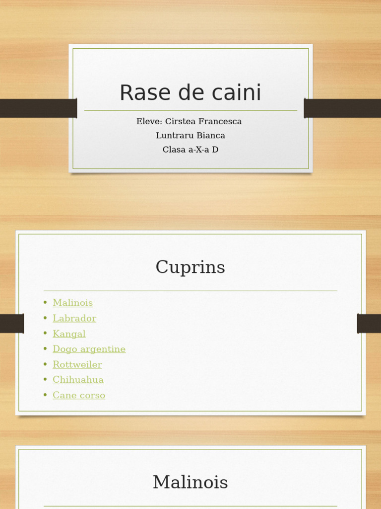 Rase de Caini | PDF