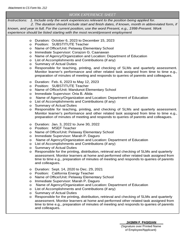 Work Experience Sheet | PDF