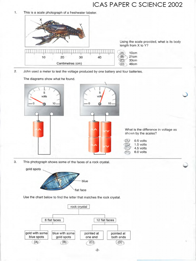 Icas Science Paper C | PDF