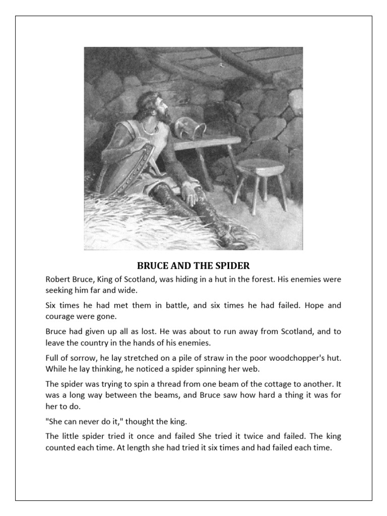 Bruce Spider | PDF