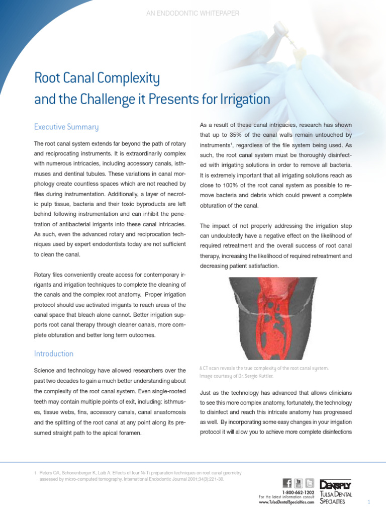 Dentsply Qmix | PDF