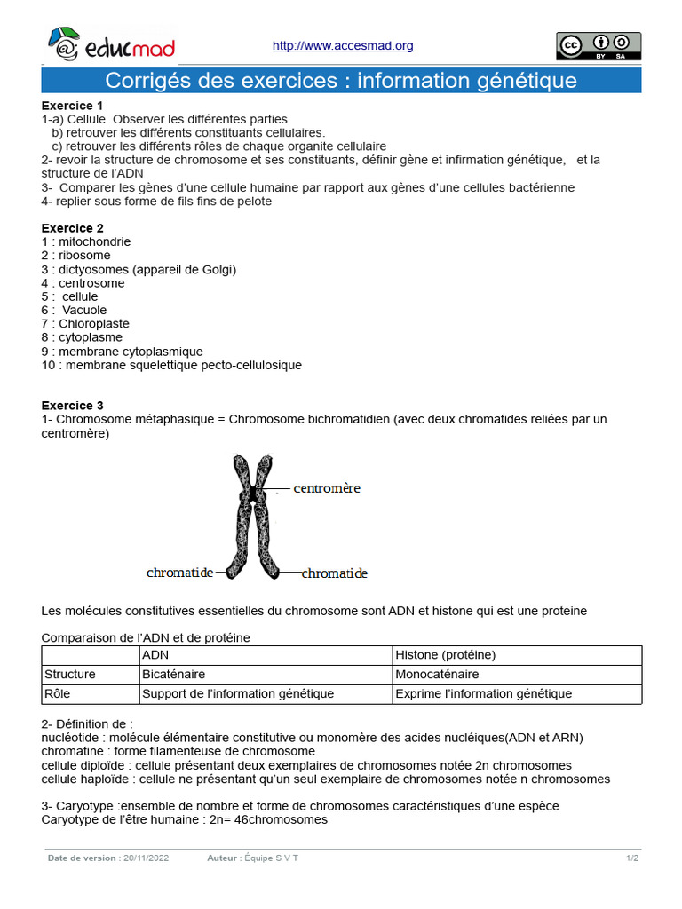 Corrige Des Exercices Sur Information Genetique | PDF