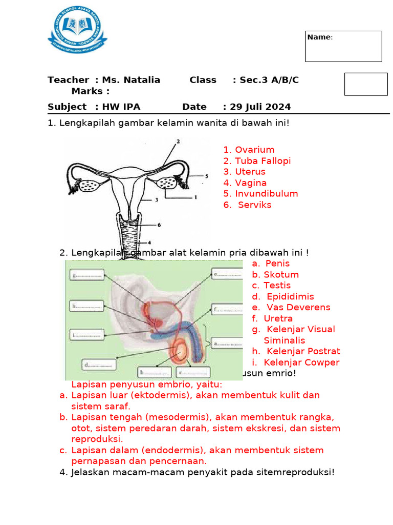 Kunci Jawaban Ipa HW 1 - 0 | PDF