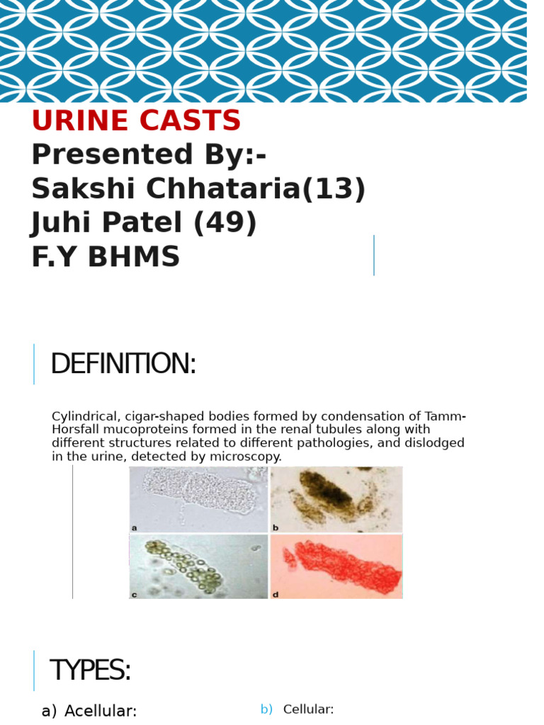 Urine Casts PPT 2 | PDF