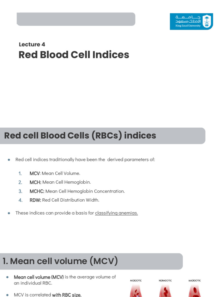 4 - RBCs Indices | PDF