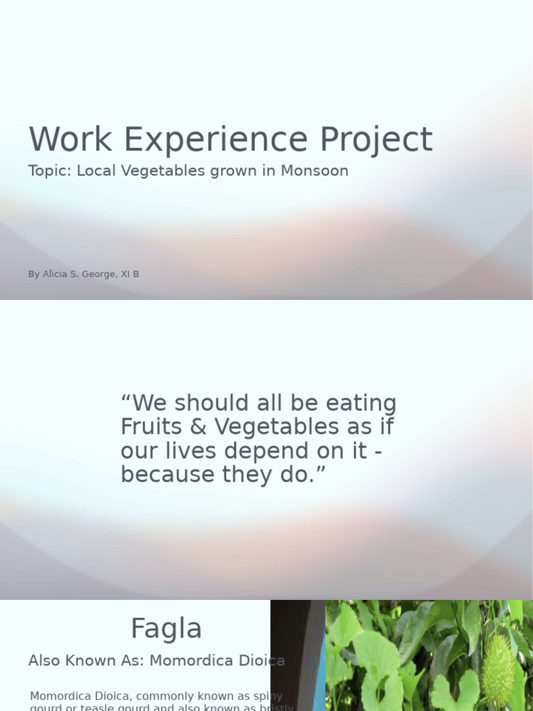 WEX Project | PDF
