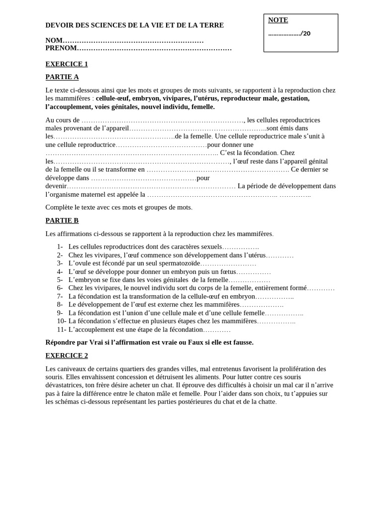 DEVOIR DE 6ème | PDF