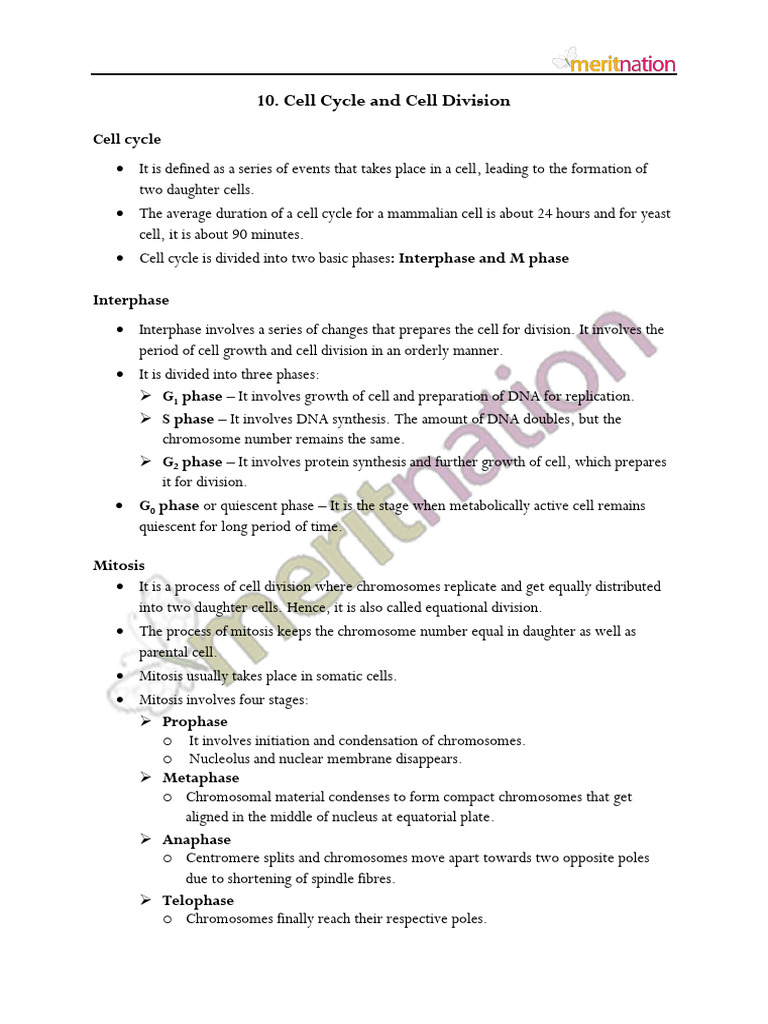 Cell Cycle Cell Division | PDF | Meiosis | Wellness