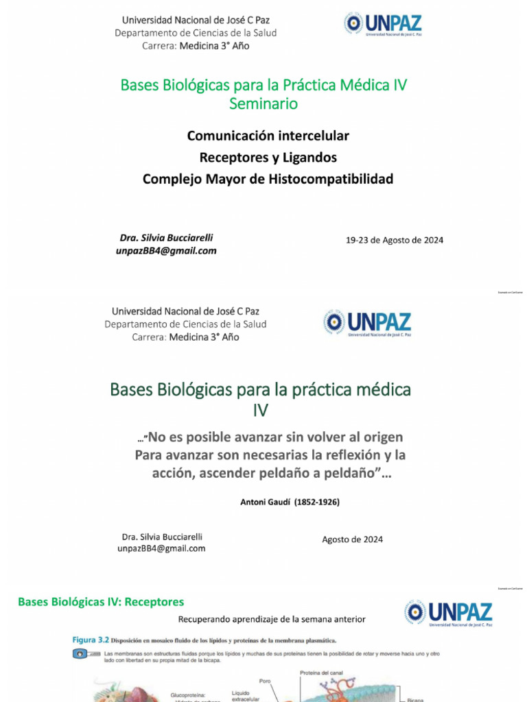 Seminario Receptores y CMH | PDF