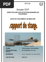 Organigramme Et Filiales de OCP | PDF