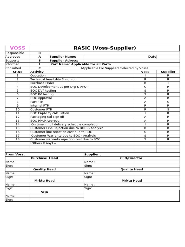 RASIC Draft Excel - Voss and Supplier OEM | PDF