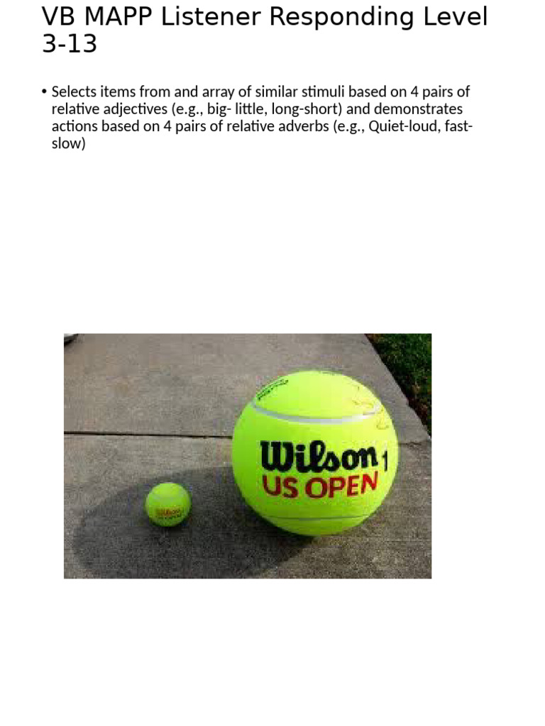 VB Mapp Listener Level 3-13 | PDF