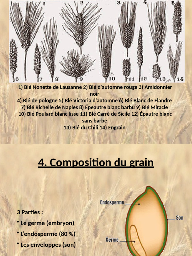 1-BLE Copie | PDF