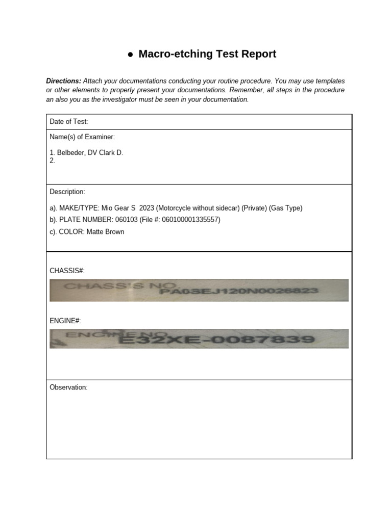 Macro Etching Final | PDF