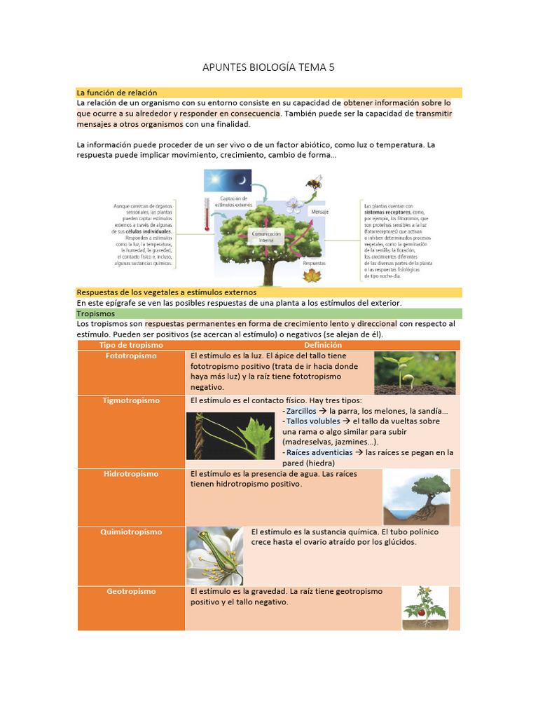 Apuntes Biología Tema 5 | PDF