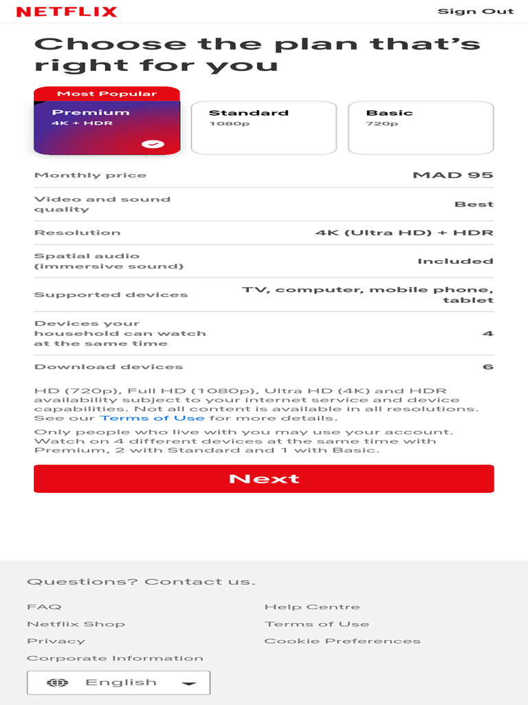 Netflix | PDF