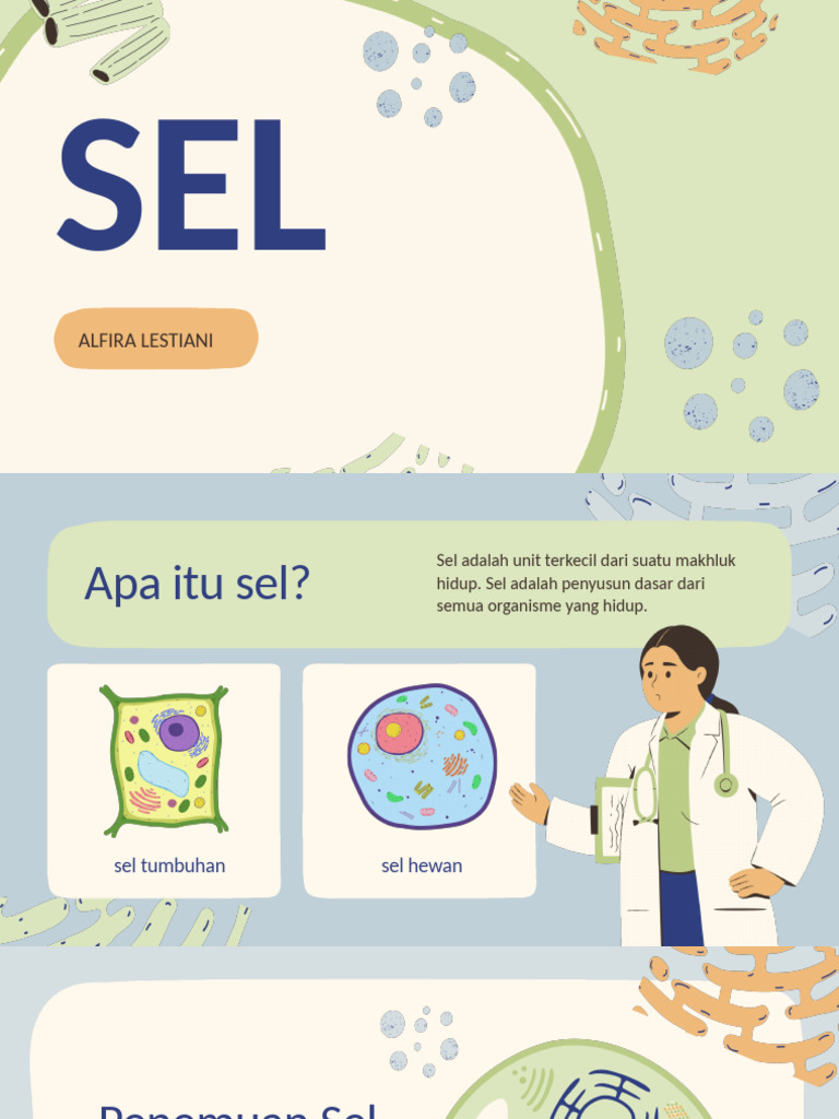 Sel New | PDF