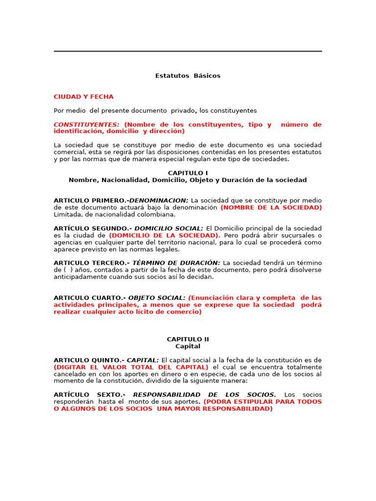 Documento de Constituci N Sociedad | PDF