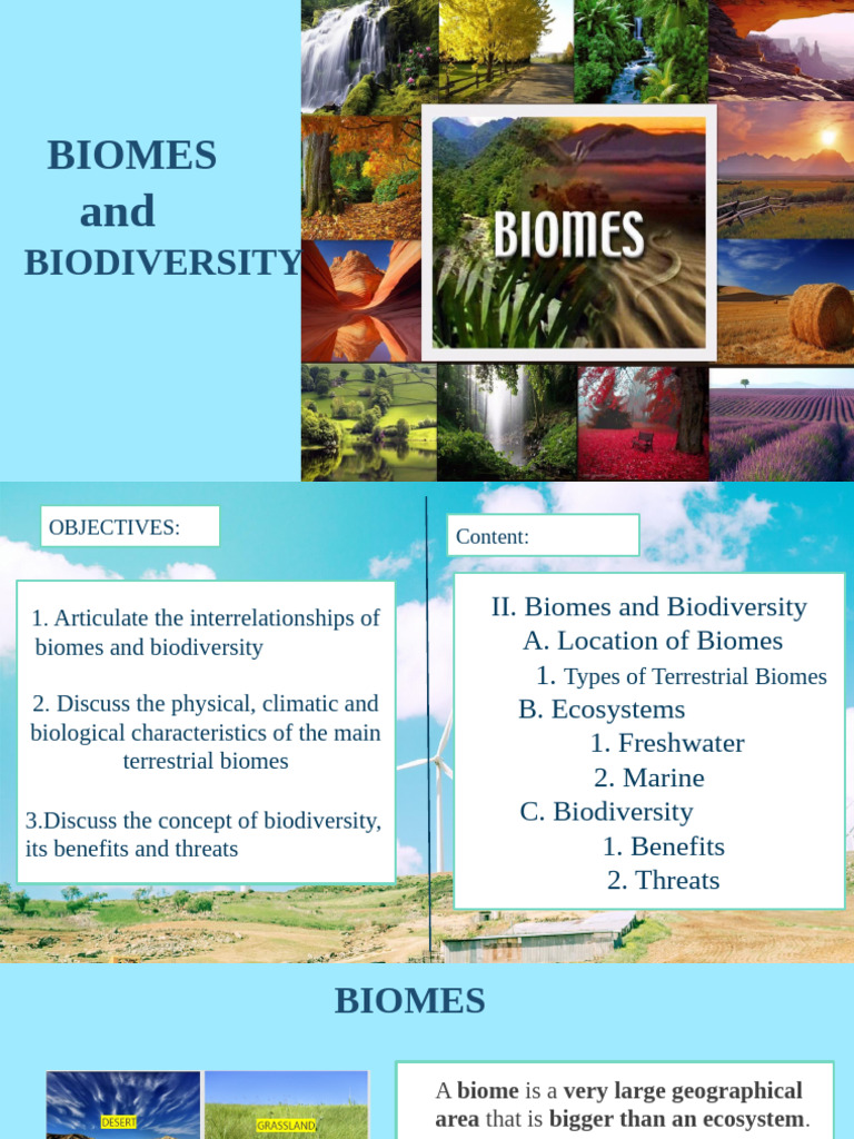 Biomes and Biodiversity | PDF