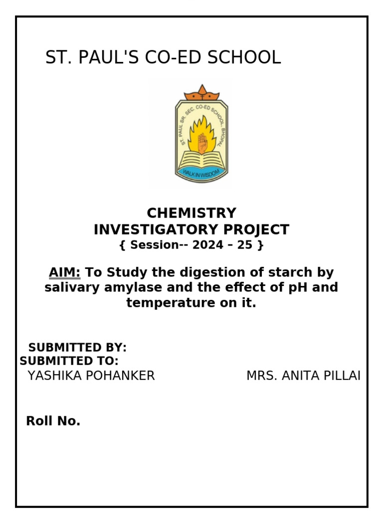 Chem Project | PDF