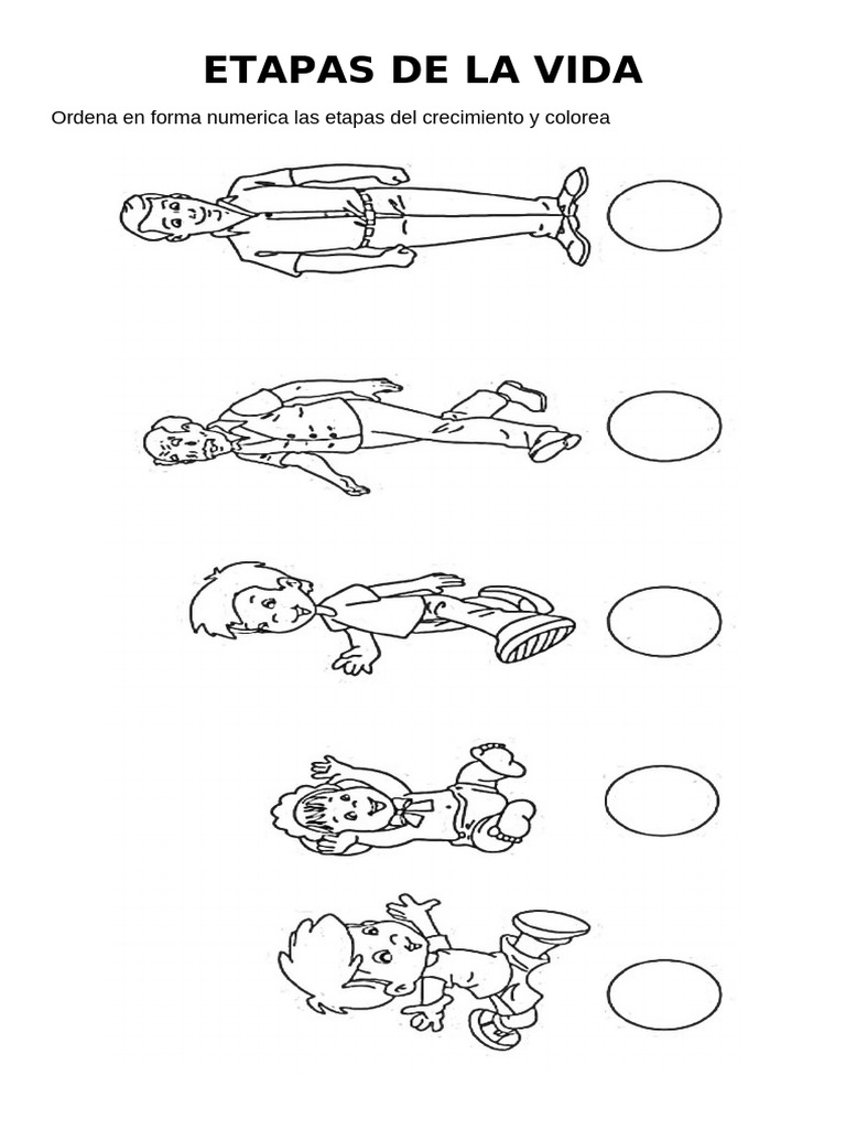 Etapas de La Vida | PDF