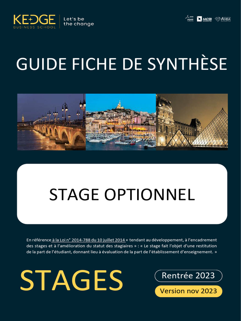 2023 2024 Guide Fiche de Synth Se Stage Optionnel FR | PDF